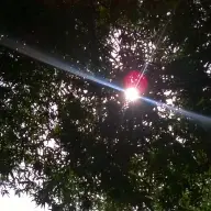 1.5 — Introduction to iostream: cout, cin, and endl | Learn C++